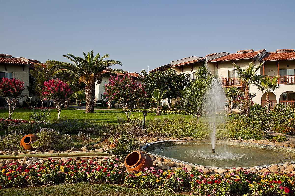 Papillon Belvil - Turecko | CK FISCHER