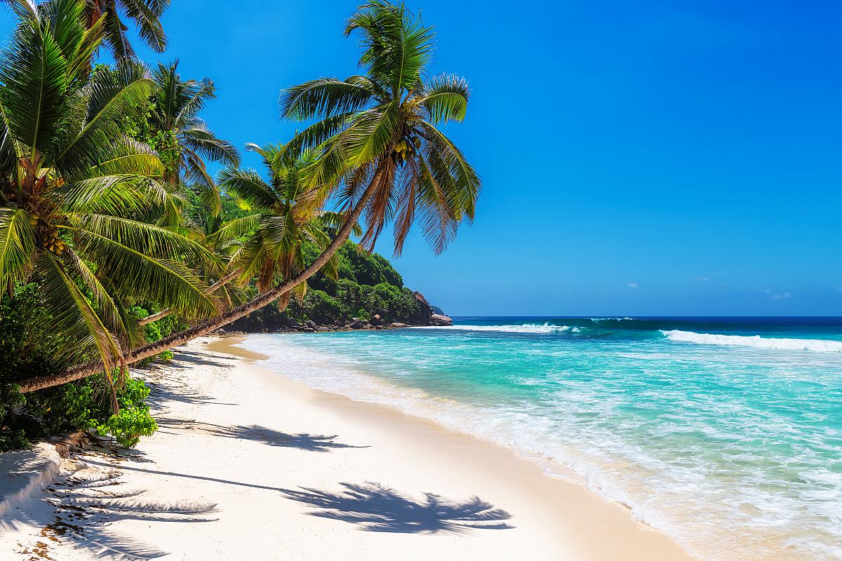 Jamajka - Dovolená 2022 - CK FISCHER