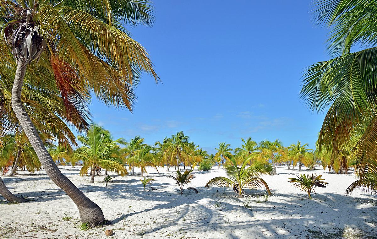 Sol Cayo Largo - Kuba | CK FISCHER